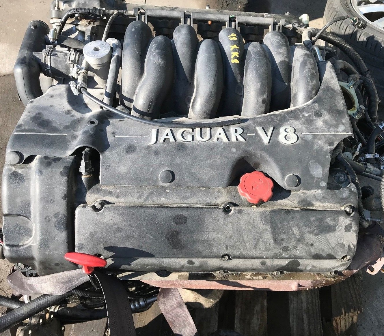 1998-1999 JAGUAR XK8 V8 4.0L ENGINE | eBay