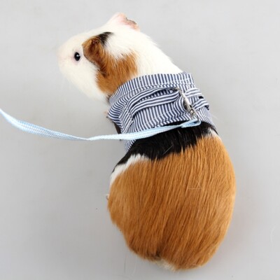 Hamster Lead Leash Chinchilla Dutch Pigs Out Pulling Rope Strap Cotton ...