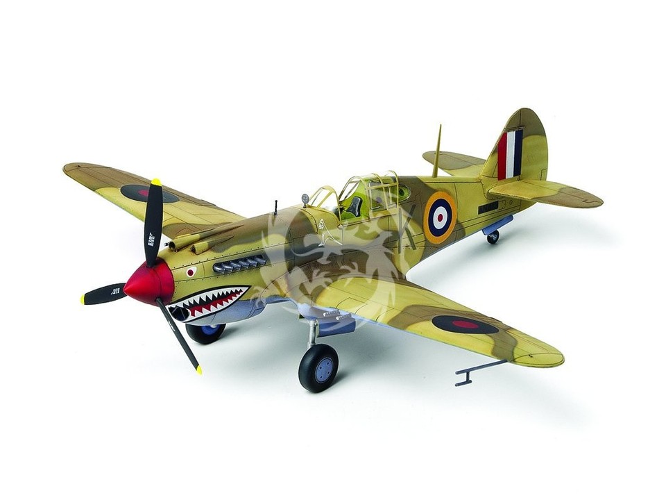 P-40 Tomahawk IIb 'Ace of African Front' Academy 12 Plastic Model | eBay