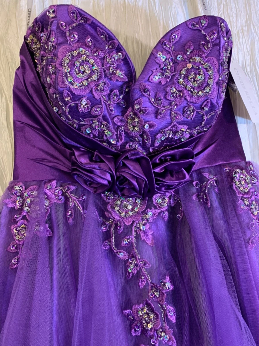 Purple Cinderella Prom Dresses