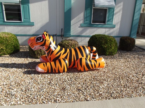 Summer Waves Inflatable Mega Tiger Ride-on Over 6 Feet Long for sale ...