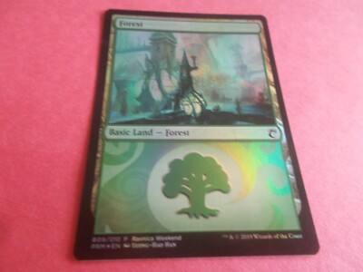 FOIL Forest x1 MTG Gruul Guild Kit White Land NM | eBay