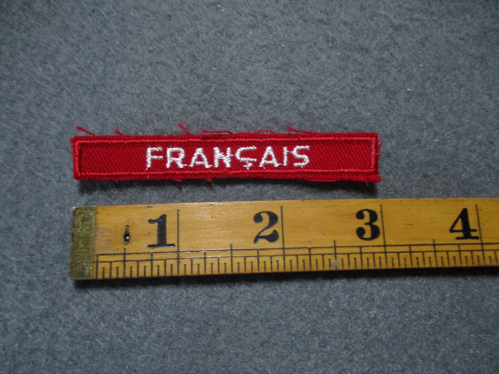 Boy Scout Interpreter Patch Francais French Red White Speaker ...