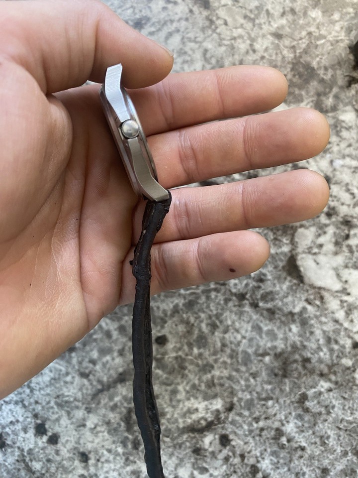 Timex T40091, Men's "Expedition" Leather/Nylon Watch, Indiglo, Date ...