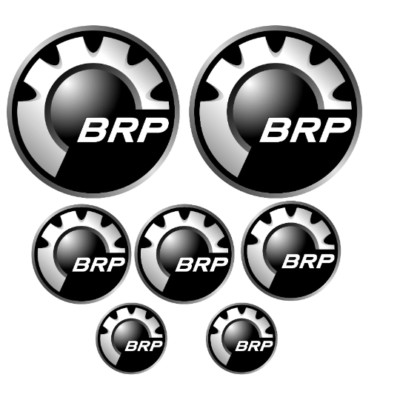 BRP Logo Stickers CAN-AM Sea-doo Ski doo Decals Replacement Sheet | eBay