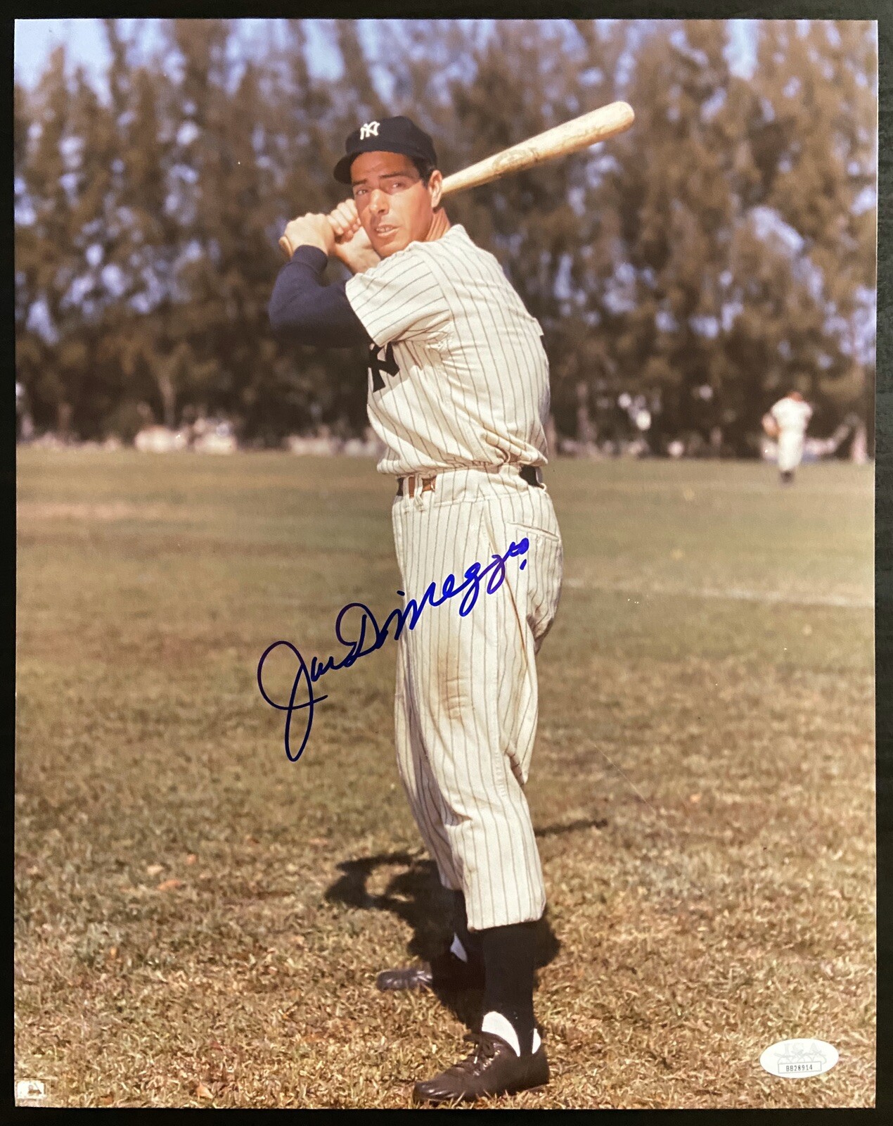 Joe Dimaggio | Autographed Baseball Memorabilia & MLB Merchandise