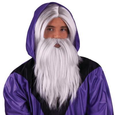 Wizard or Moses Hair Costume Grey 2pc Halloween Polyester Wig & Beard ...