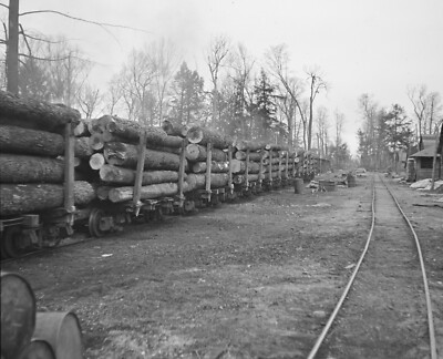 Forest County, Wisconsin, Logging Train, 1930s, Photo, New Reproduction ...