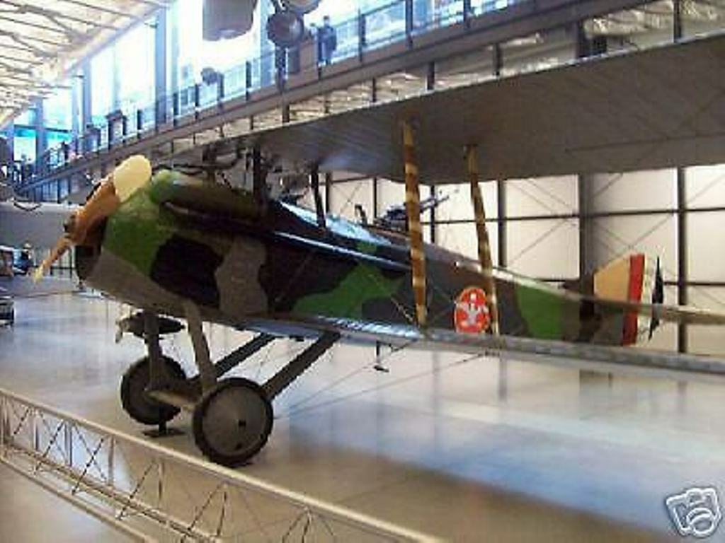 S-XVI SPAD-16 Airplane Military Desk Wood Model Big New | eBay