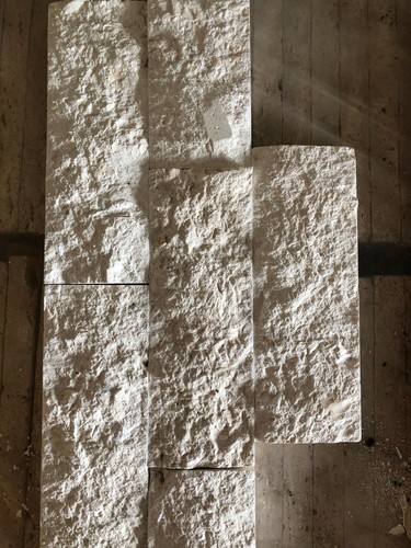 SPLIT FACE SEASHELL 4 X RANDOM LENGTHS WALL IVORY WHITE | eBay