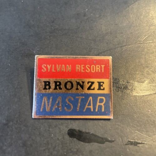 Sylvan Resort- Ski Pin Badge Skiing -RED NASTAR BRONZE -Michigan | eBay