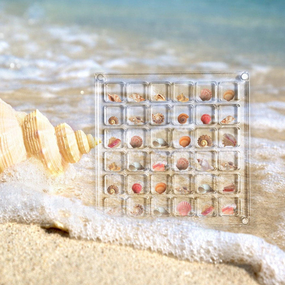 Seashell Display Case with Solid Wood Base 36 Grids Acrylic Display Box ...