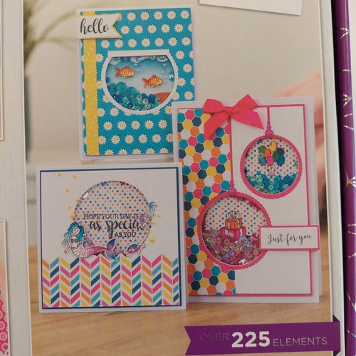 Crafters Companion Shaker Card Craft Kit, Over 225 Elements, makes 18 ...