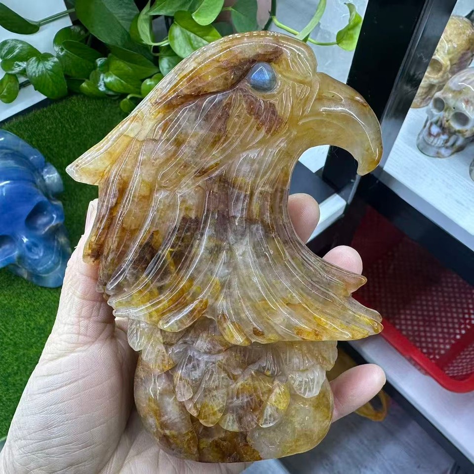 1.5LB Natural Yellow glue flower Quartz Crystal Carved Eagle Skull ...