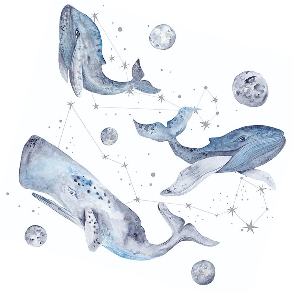 Wall Sticker Set Cartoon Blue Whale PVC Material Wall Decal for Home ...