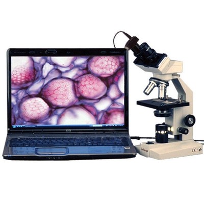 Microscopes - Veterinary Microscope