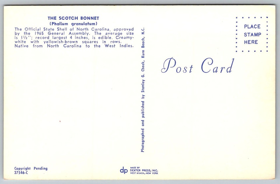 Vintage Postcard - The Scotch Bonnet - North Carolina State Shell - NC ...