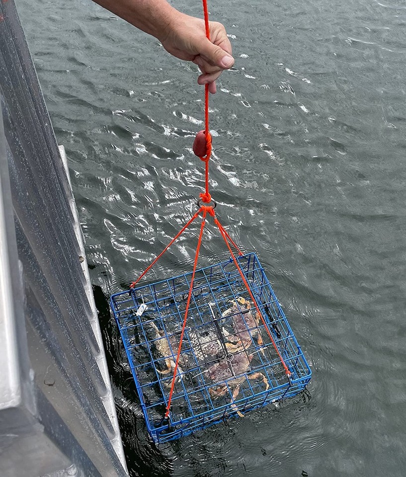 4 Arm Harness for Crab Trap - 304 Stainless Steel Hooks with Buoy Float ...