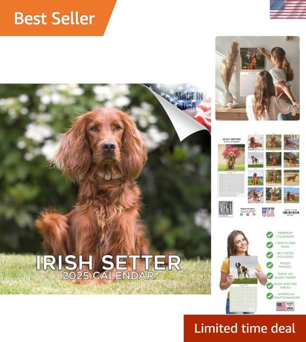 High-Definition 2024-2025 Irish Setter Calendar - Ideal Gift for Dog ...