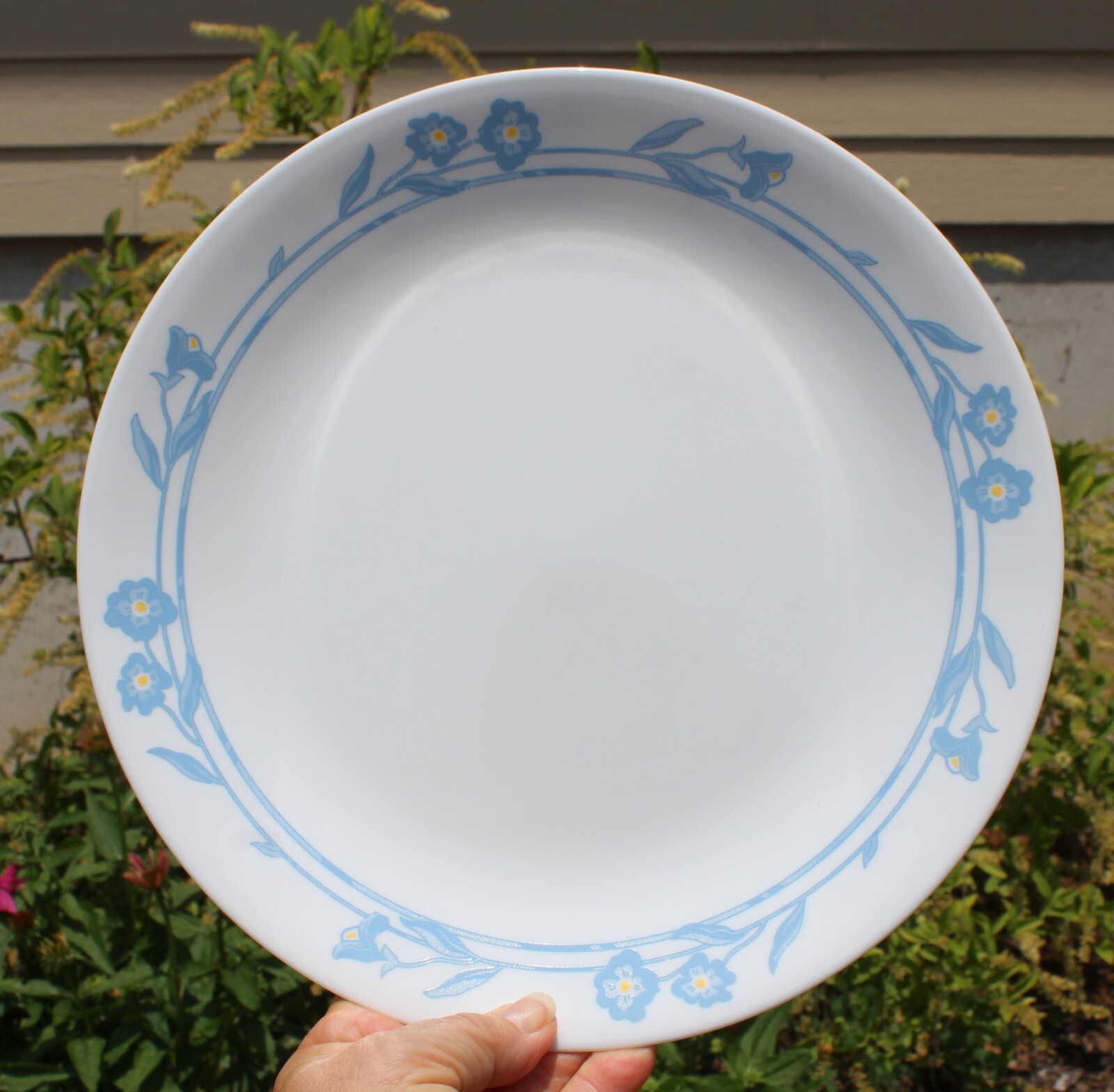 Single Corelle Dinner Plate 10 1/4" Cornsilk Corn Silk White Blue ...