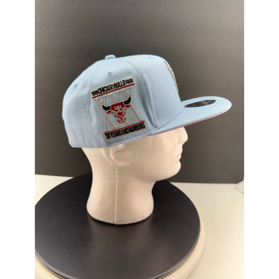 Mitchell & Ness Dynasty Chicago Bulls Windy City Light Blue Fitted Hat ...