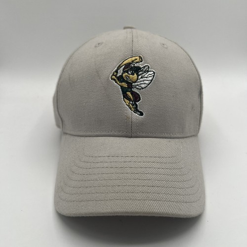 New Era Savannah Sand Gnats Hat Cap Adult Adjustable Gray Minor League ...