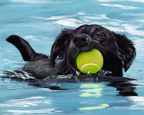 BLACK LAB Labrador Retriever Dog Swimming Art PRINT of Painting Artwork ...