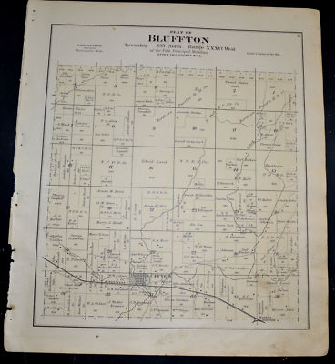 1884 OTTER TAIL COUNTY MAP MINNESOTA Bluffton and Blowers Township ...