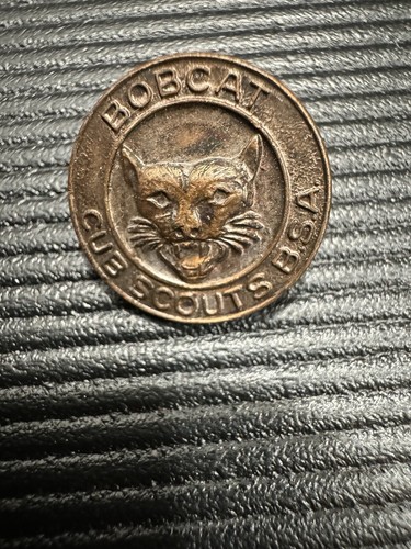 Cub Scouts Copper Tone Bob Cat Pin Vintage BSA | eBay