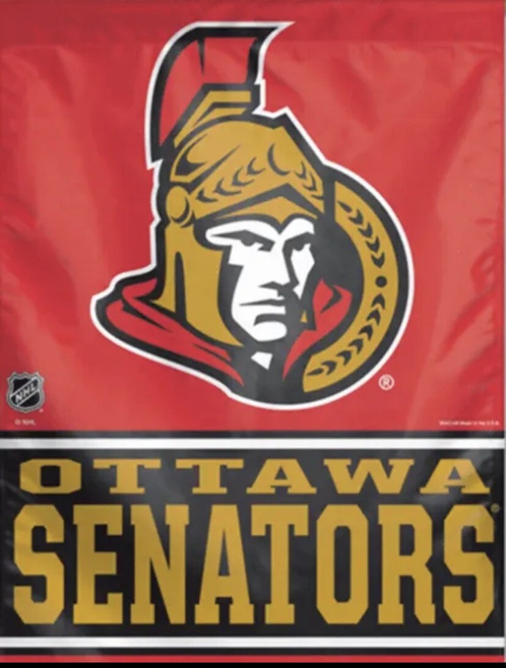 Ottawa Senators Outdoor Vertical Flag Banner NHL WinCraft | eBay