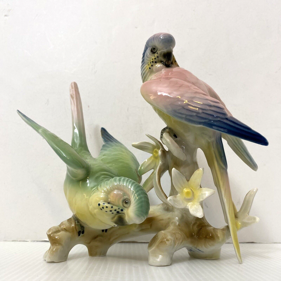 Wilhelm Rittirsch Dresden Porcelain Parakeet Parrot Bird Figurine Not ...