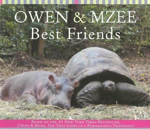 Owen and Mzee: Best Friends - Board book By Isabella Hatkoff - GOOD ...