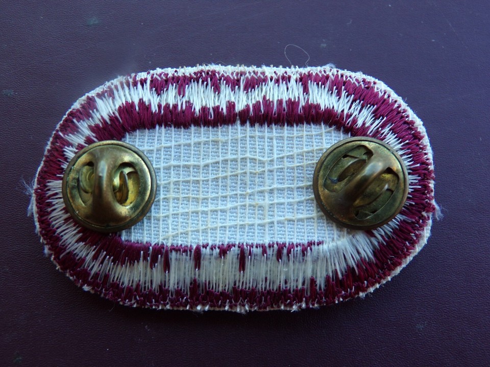 Airborne Medical Jump Wing Patch Oval Badge Pin Insignia Military US ...