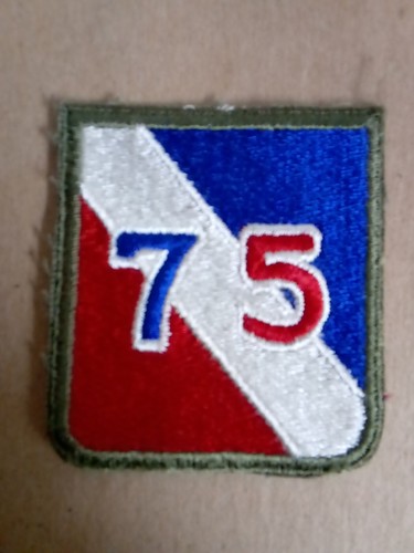 75th Training Command Division Military Patch | eBay
