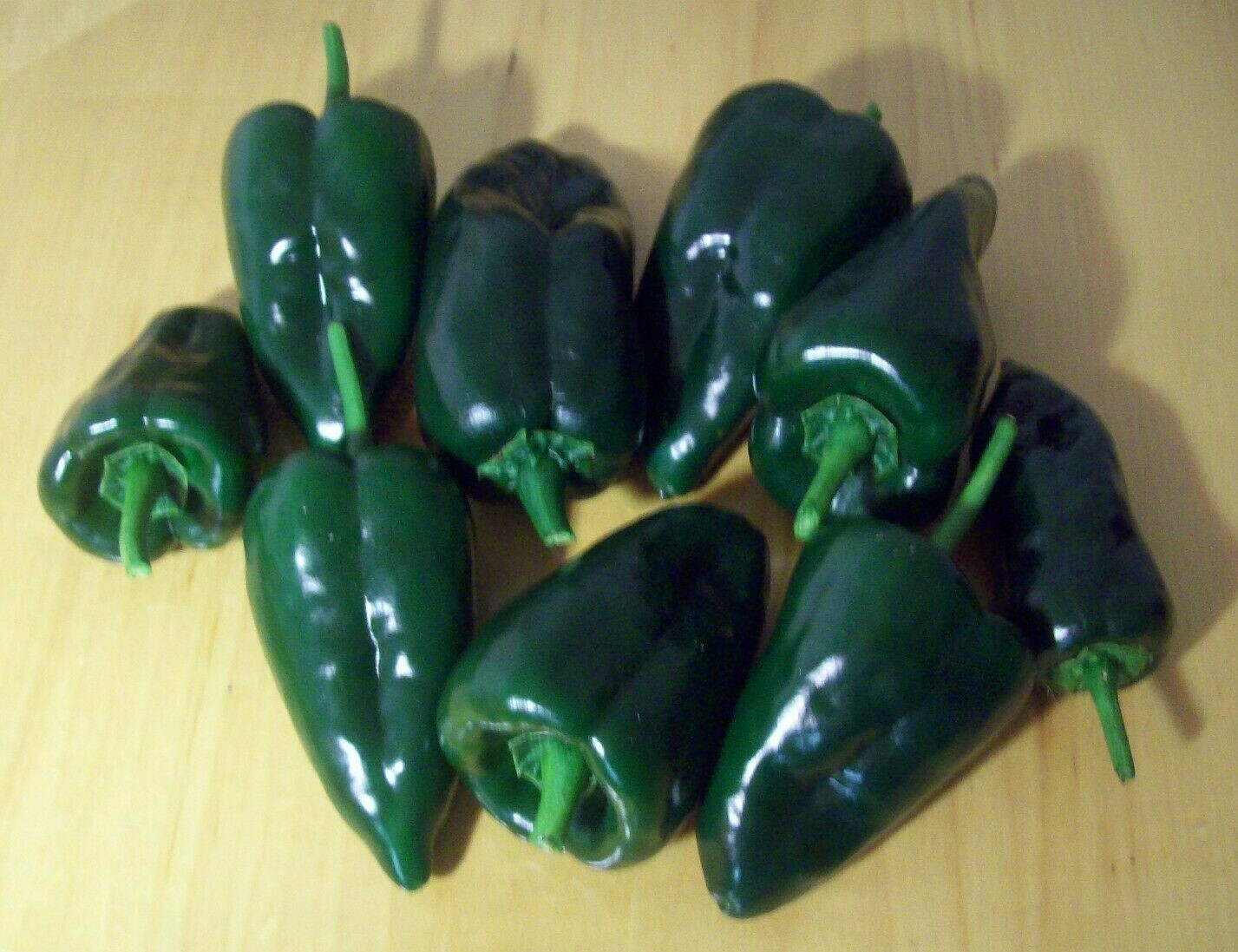 ANCHO POBLANO PEPPER SEEDS 30+ chili poblano MILD spice VEGETABLE FREE ...