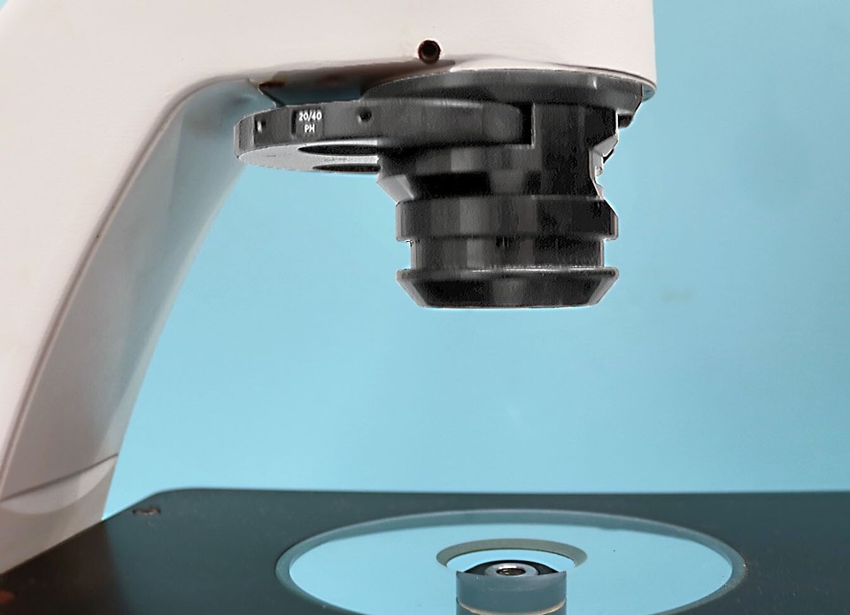 Life technologies AMG EVOS XL Core Phase contrast Digital Microscope | eBay