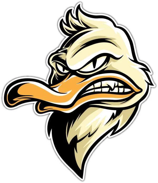 Cartoon Angry Duck Face