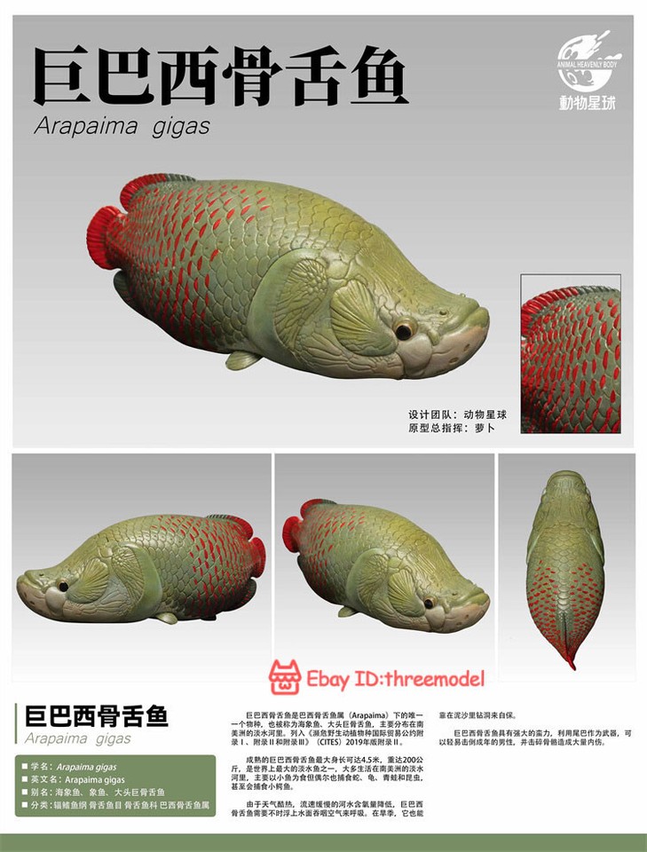 Animal Heavenly Body A Series Of Laugh And Grow Fat 12 Fish Full Set ...