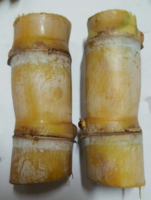 SUGAR CANE GREEN JUICING CHEWING ORGANIC PLANT, 2 STICKS | eBay