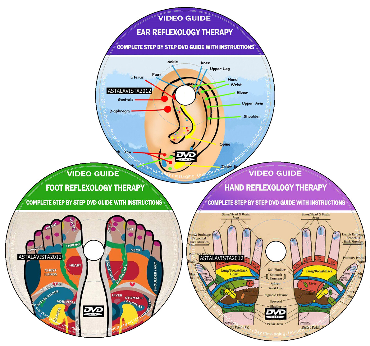 Ear Reflexology Chart Ear Reflexology Chart Outline Stock Vector