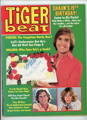 November 1977 Tiger Beat Mark Hamill Shaun Cassidy Parker Stevenson ...