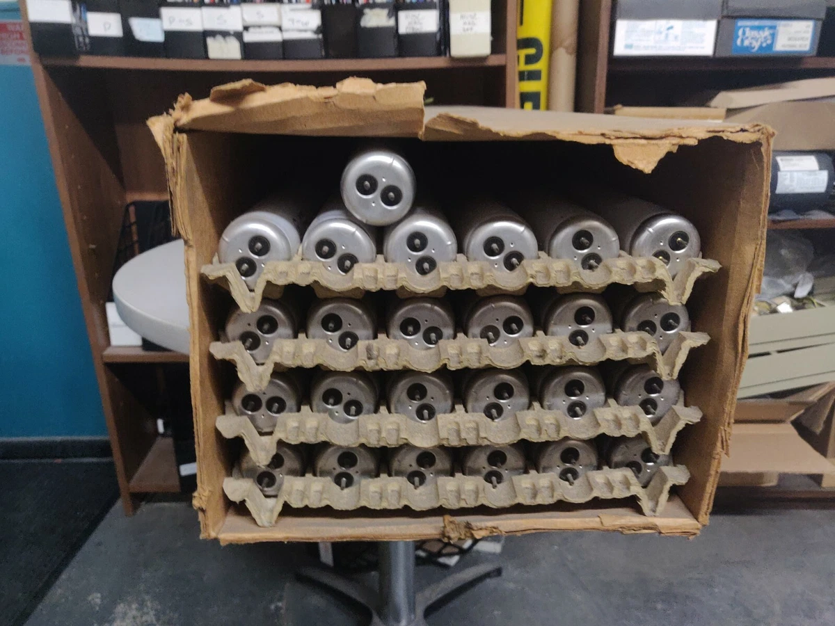 F40cw Light Bulb | Shelly Lighting