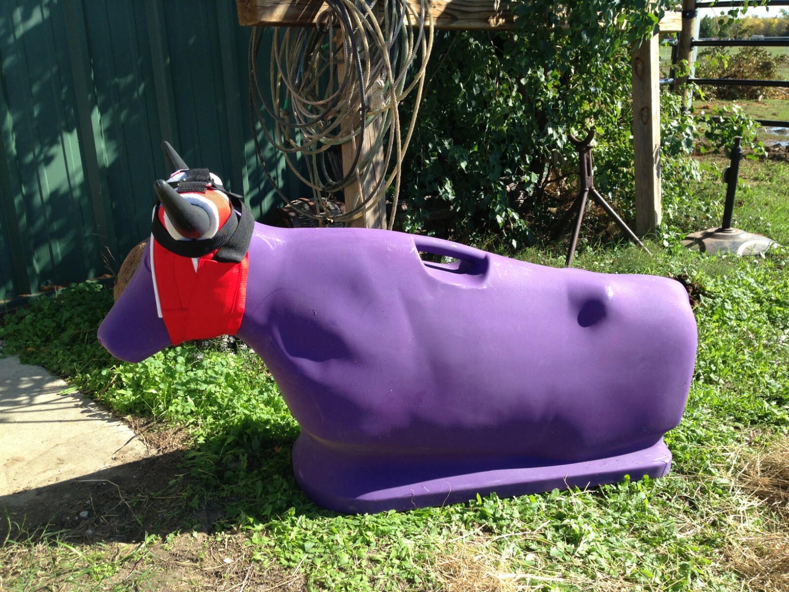 SOMETHING DUMMY Roping Dummy Roping Steer - Black | eBay