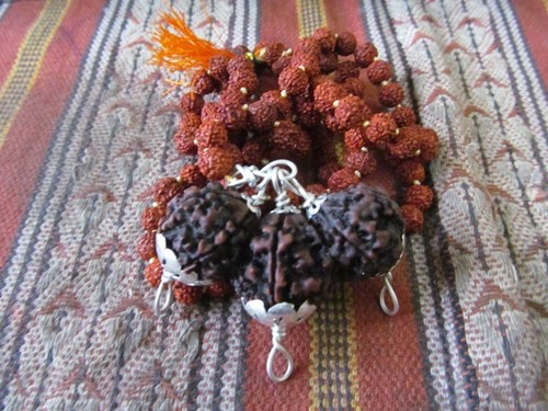 Rare Original trijuti Tridave Brahma Vishnu Mahesh Mukhi Java Beads ...