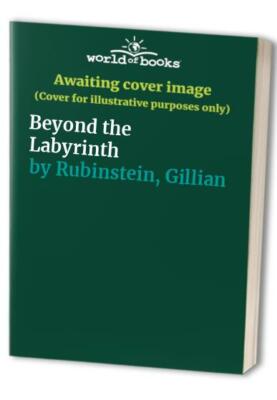 Beyond the Labyrinth by Rubinstein, Gillian Paperback Book The Fast ...
