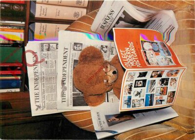 Picture Postcard__Teddy Bear, Reading the Independent Newspaper [Ph ...