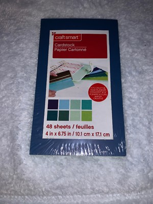 Craft Smart Cardstock Fits Creative Year Planner Inserts 4"x6.75" Multi ...