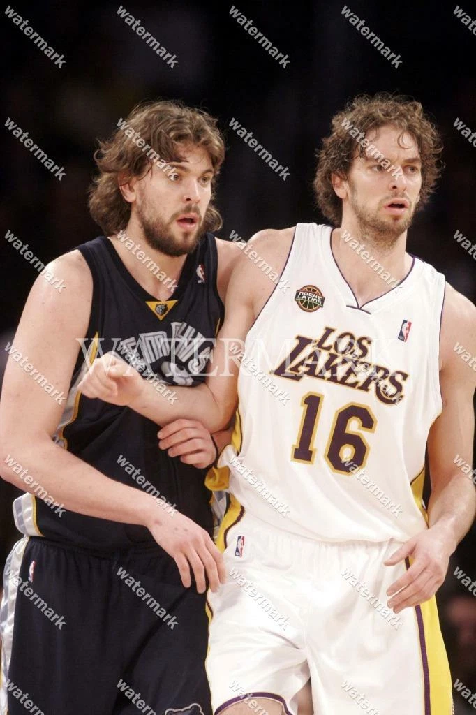 Gasol Brothers