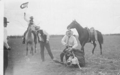 RPPC Cowboys Horses Cattle Cheyenne, Wyoming 1908 Vintage Photo ...
