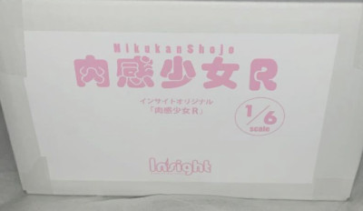 Insight Official Nikkan Girl R 1/6 scale Height 152mm painted figure ...